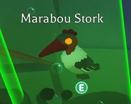 Marabou Stork | Adopt Me! Wiki | Fandom