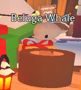 Beluga Whale | Adopt Me! Wiki | Fandom