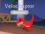Velociraptor | Adopt Me! Wiki | Fandom