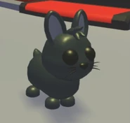 Amami Rabbit | Adopt Me! Wiki | Fandom