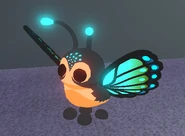 Mirai Moth | Adopt Me! Wiki | Fandom