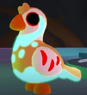 Partridge | Adopt Me! Wiki | Fandom