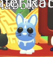 Water Rabbit | Adopt Me! Wiki | Fandom