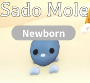 Sado Mole | Adopt Me! Wiki | Fandom