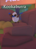 Kookaburra | Adopt Me! Wiki | Fandom