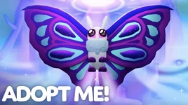 Celestial Summer Event (2024) | Adopt Me! Wiki | Fandom