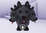Cerberus | Adopt Me! Wiki | Fandom