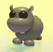 Hippo | Adopt Me! Wiki | Fandom