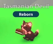 Tasmanian Devil | Adopt Me! Wiki | Fandom