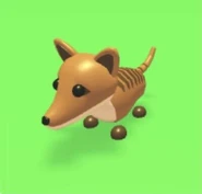 Tasmanian Tiger | Adopt Me! Wiki | Fandom