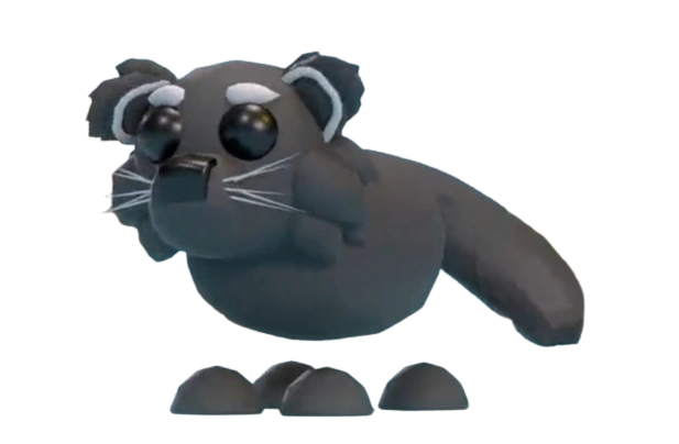 Binturong | Adopt Me! Wiki | Fandom