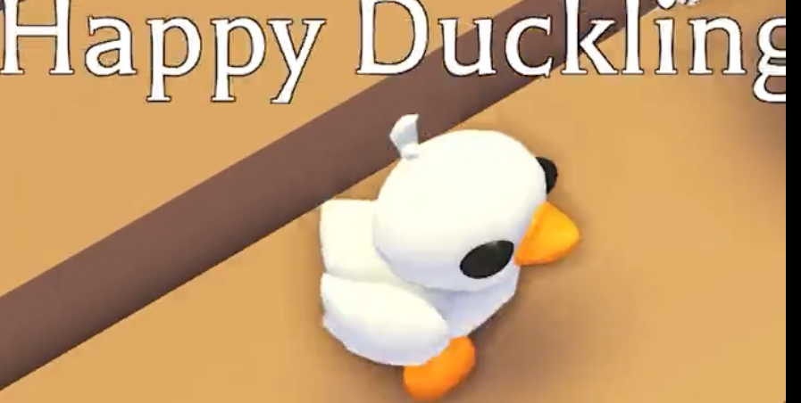 Happy Duckling | Adopt Me! Wiki | Fandom