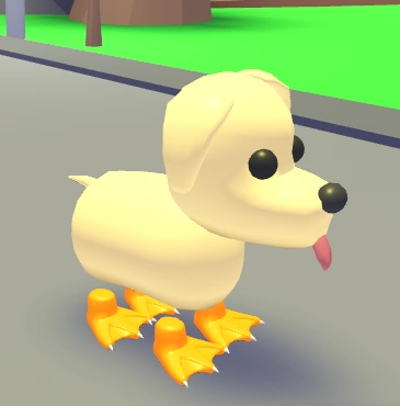 Duck Feet | Adopt Me! Wiki | Fandom