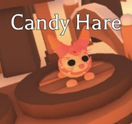 Candy Hare | Adopt Me! Wiki | Fandom