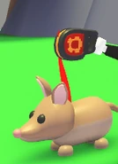 Lunar New Year Leash | Adopt Me! Wiki | Fandom