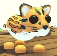 Ocelot | Adopt Me! Wiki | Fandom