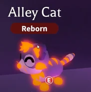 Alley Cat | Adopt Me! Wiki | Fandom