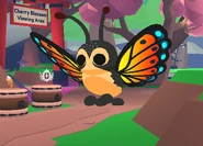 Mirai Moth | Adopt Me! Wiki | Fandom