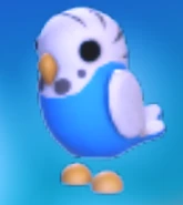 Parakeet | Adopt Me! Wiki | Fandom