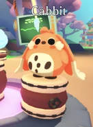 Cabbit | Adopt Me! Wiki | Fandom