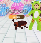 Cockroach | Adopt Me! Wiki | Fandom