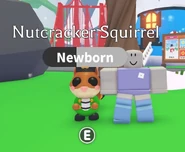 Nutcracker Squirrel | Adopt Me! Wiki | Fandom