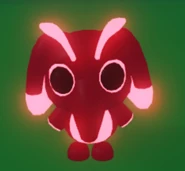 Snorgle | Adopt Me! Wiki | Fandom