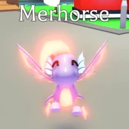 Merhorse | Adopt Me! Wiki | Fandom