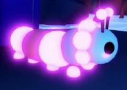 Gumball Caterpillar | Adopt Me! Wiki | Fandom