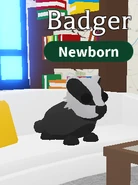 Badger | Adopt Me! Wiki | Fandom