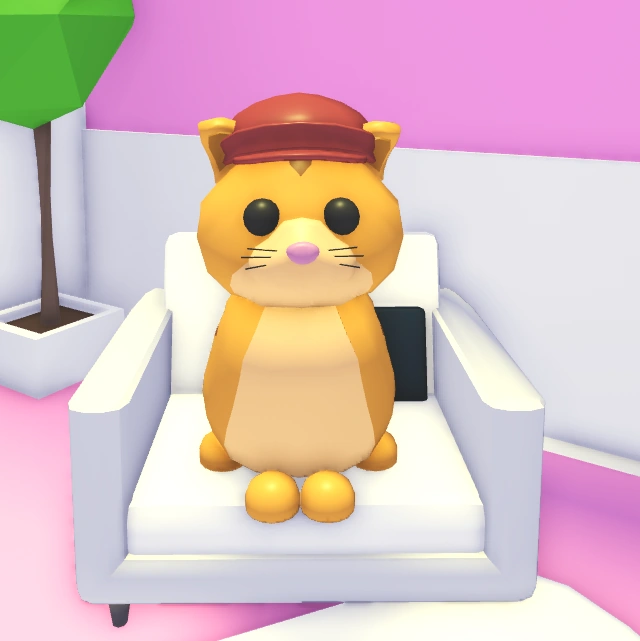 Brim Beanie | Adopt Me! Wiki | Fandom