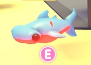 Hammerhead Shark | Adopt Me! Wiki | Fandom