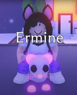 Ermine | Adopt Me! Wiki | Fandom