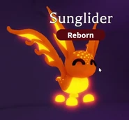 Sunglider | Adopt Me! Wiki | Fandom