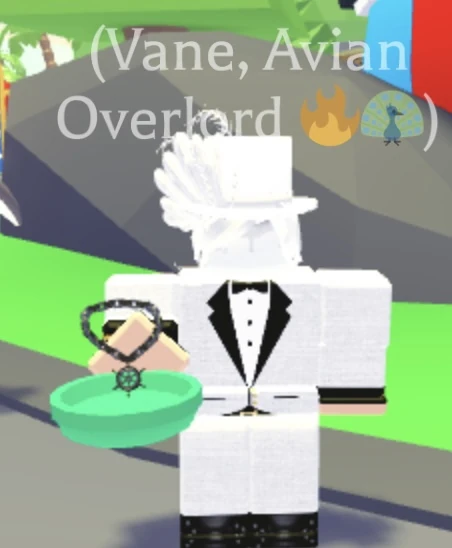 Ship Wheel Necklace | Adopt Me! Wiki | Fandom