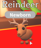Reindeer | Adopt Me! Wiki | Fandom