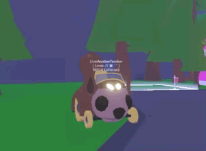 Squirrel Car | Adopt Me! Wiki | Fandom