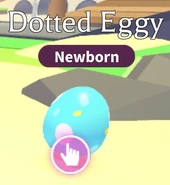 Dotted Eggy | Adopt Me! Wiki | Fandom