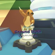 Ground Sloth | Adopt Me! Wiki | Fandom