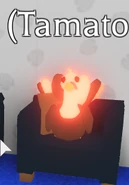 Turkey | Adopt Me! Wiki | Fandom