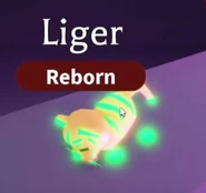 Liger | Adopt Me! Wiki | Fandom