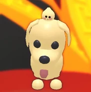 Dumpling Friend Hat | Adopt Me! Wiki | Fandom