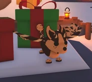 Chocolate Chip Bat Dragon | Adopt Me! Wiki | Fandom