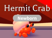 Hermit Crab | Adopt Me! Wiki | Fandom