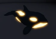 Orca | Adopt Me! Wiki | Fandom