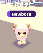 Ram | Adopt Me! Wiki | Fandom