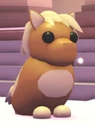 Shetland Pony Light Brown | Adopt Me! Wiki | Fandom