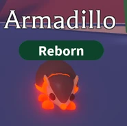 Armadillo | Adopt Me! Wiki | Fandom