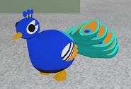 Peacock | Adopt Me! Wiki | Fandom