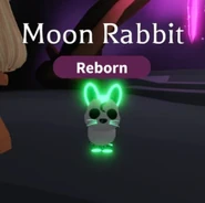 Moon Rabbit | Adopt Me! Wiki | Fandom